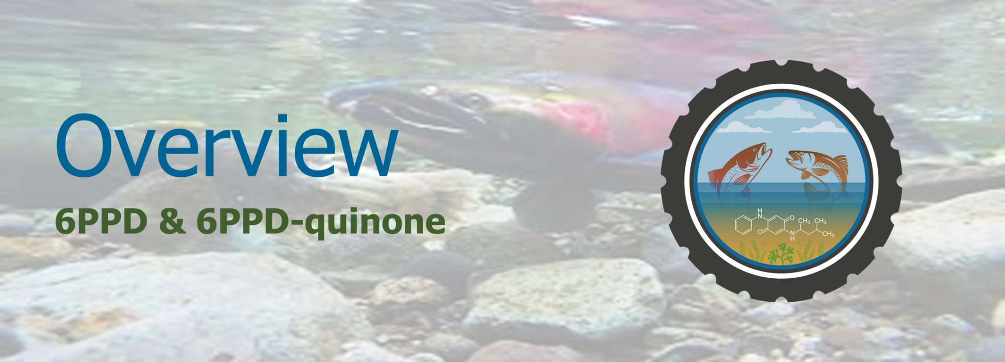 6PPD & 6PPD-quinone
