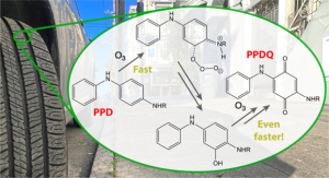 1 Introduction – 6PPD & 6PPD-quinone