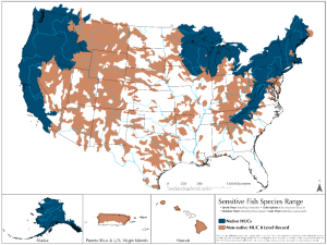 1 Introduction – 6PPD & 6PPD-quinone