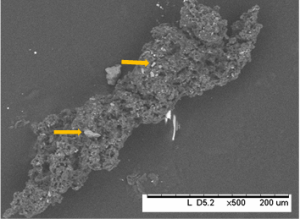 1 Introduction – 6PPD & 6PPD-quinone